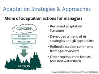 Forests and Climate Change: New Approaches for Adaptation and Carbon ...