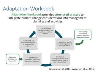 Forests and Climate Change: New Approaches for Adaptation and Carbon ...