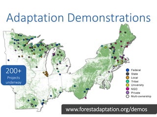 Forests and Climate Change: New Approaches for Adaptation and Carbon ...