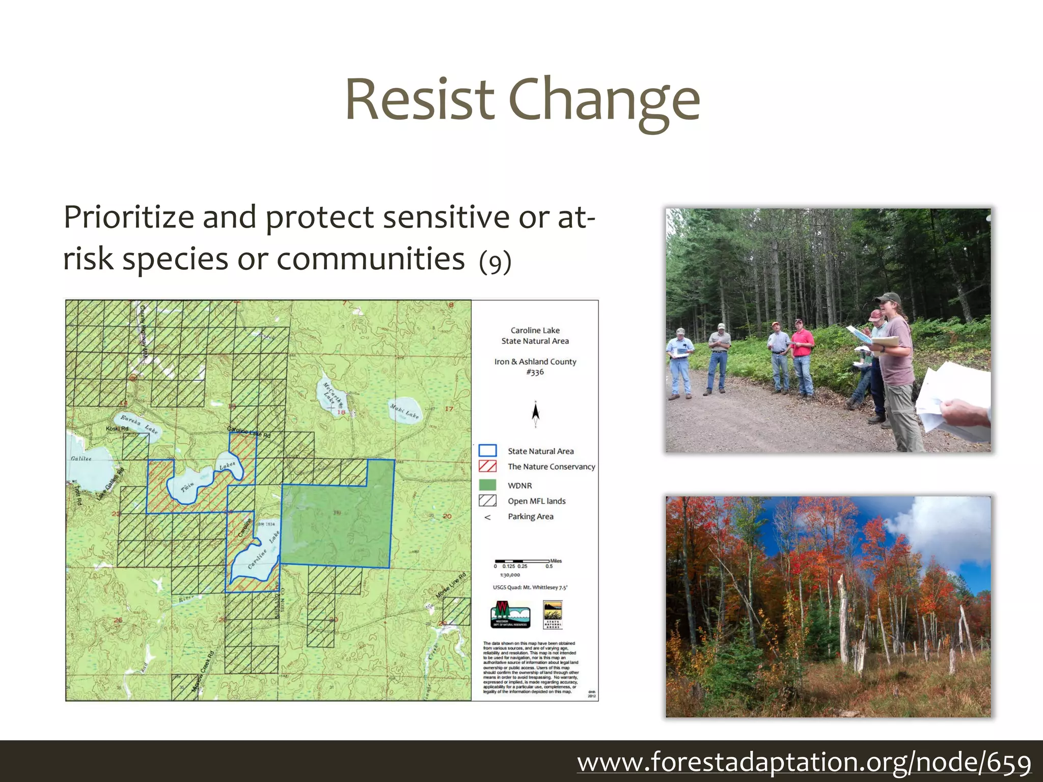Forest Adaptation in Action: Climate Change Adaptation Projects in ...