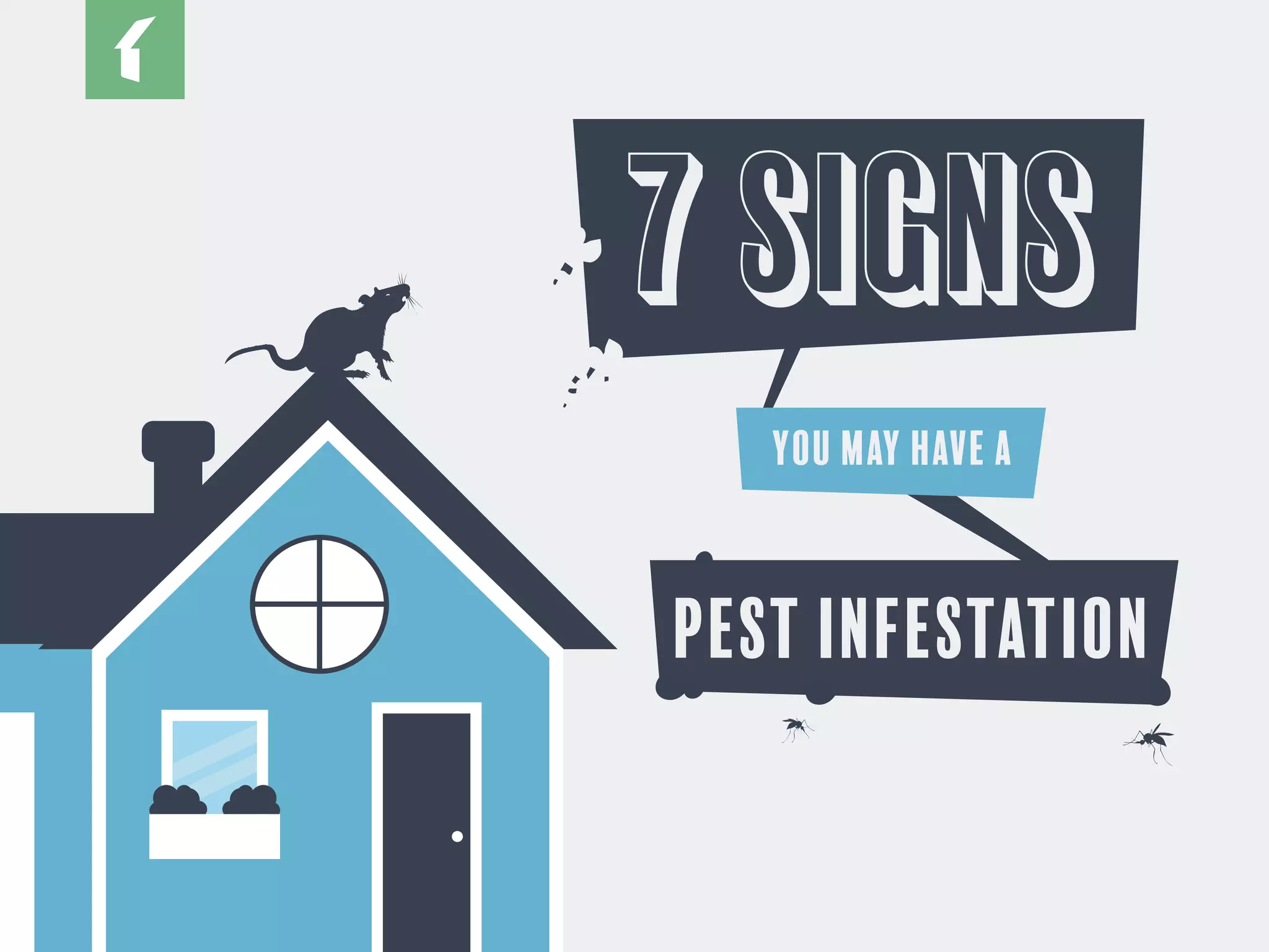 7 Signs You May Have a Pest Infestation | PPT