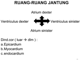 Jantung dan pembuluh darah 2 | PPT