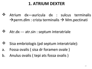 Jantung dan pembuluh darah 2 | PPT