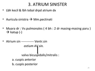 Jantung dan pembuluh darah 2 | PPT