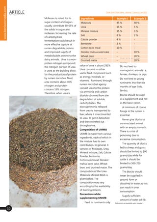 Think Grain Think Feed January 2021 | PDF