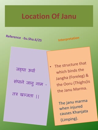 JANU MARMA THE SANDHI VARIETY OF KALANTARA PRANAHARA MARMA | PPTX