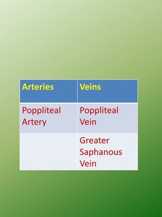 JANU MARMA THE SANDHI VARIETY OF KALANTARA PRANAHARA MARMA | PPTX