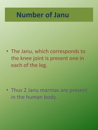 JANU MARMA THE SANDHI VARIETY OF KALANTARA PRANAHARA MARMA | PPTX