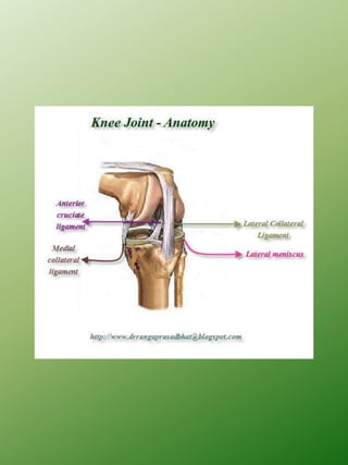 JANU MARMA THE SANDHI VARIETY OF KALANTARA PRANAHARA MARMA | PPTX