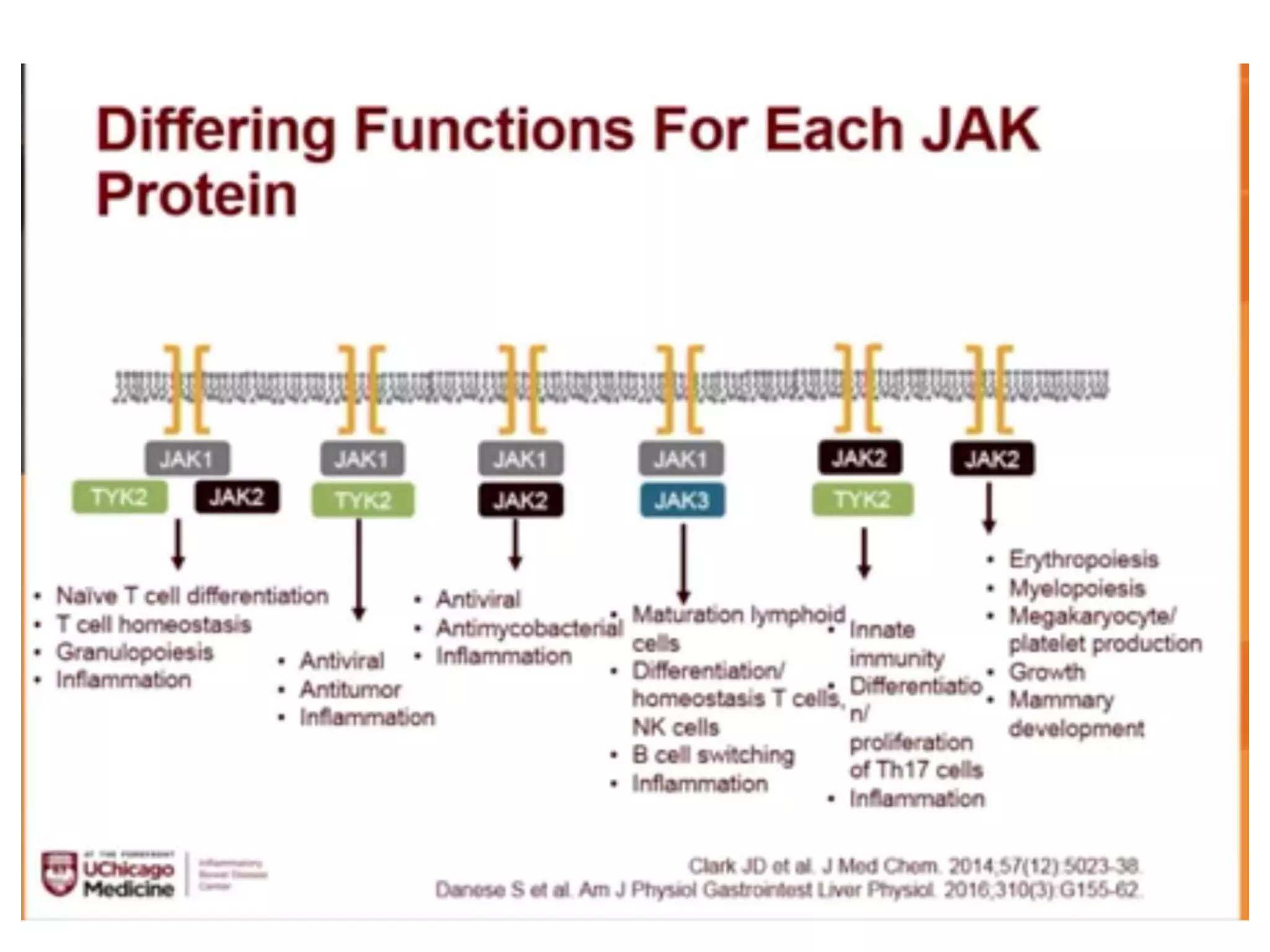 Janus kinase inhibitors | PPTX
