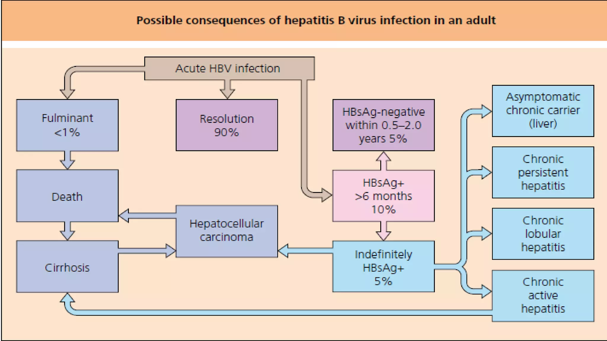 viral markers in diagnosis monitoring and treatment of hepatitis b and ...