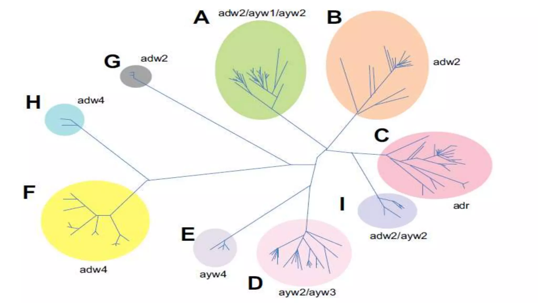 viral markers in diagnosis monitoring and treatment of hepatitis b and ...