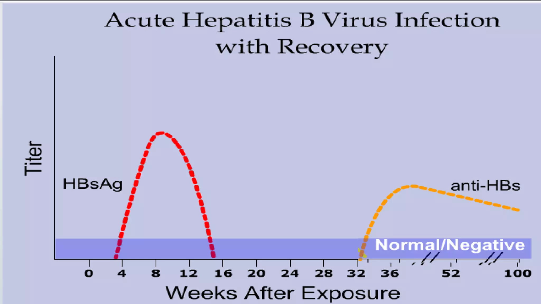 viral markers in diagnosis monitoring and treatment of hepatitis b and ...