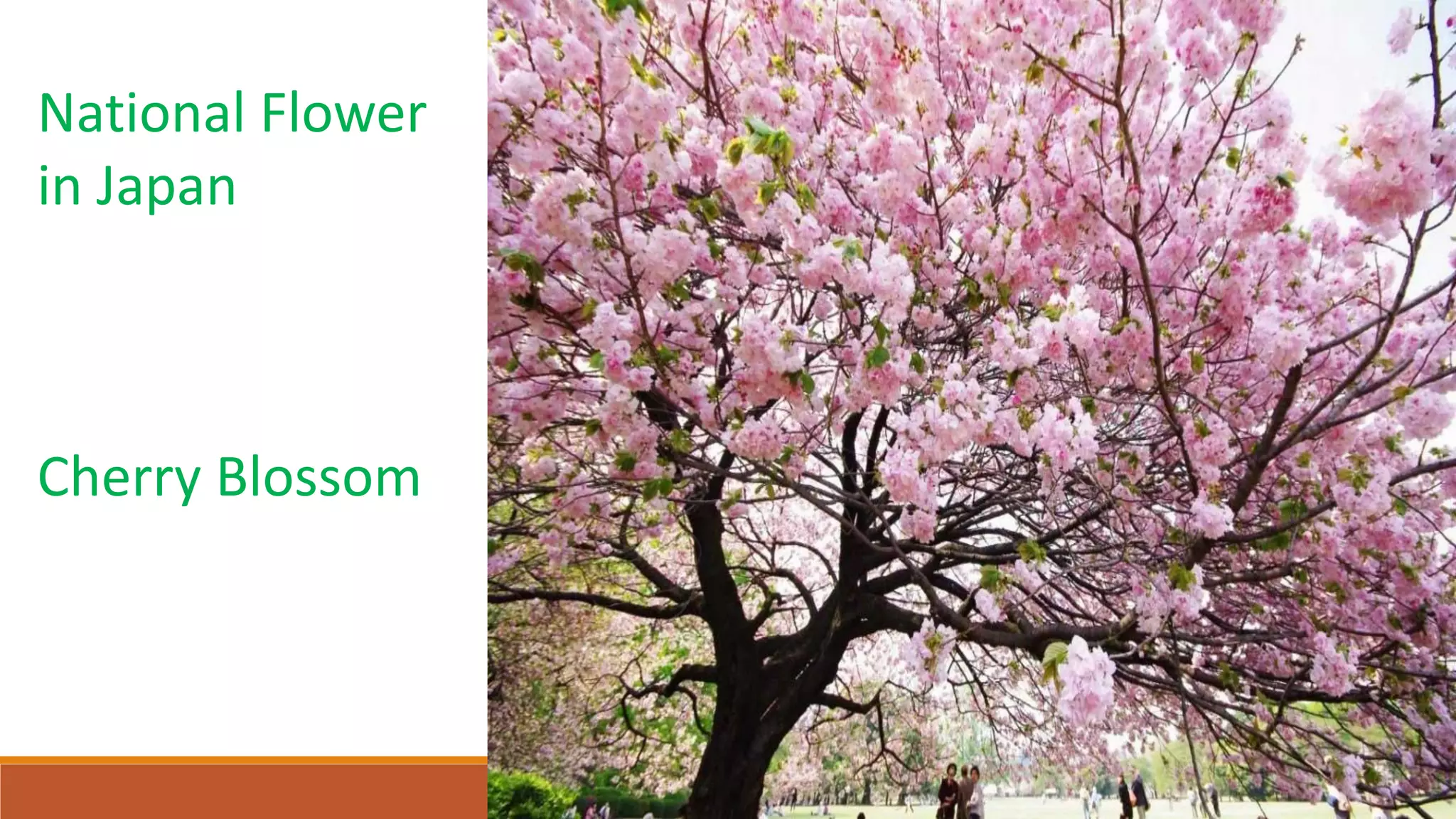 Ang Bansang Japan | PPTX