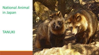 Ang Bansang Japan | PPTX