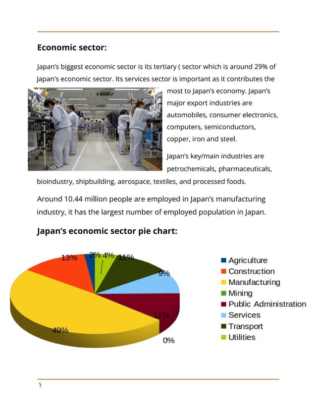 Japan report (urbanization, settlement hierarchy, GDP & etc) | PDF