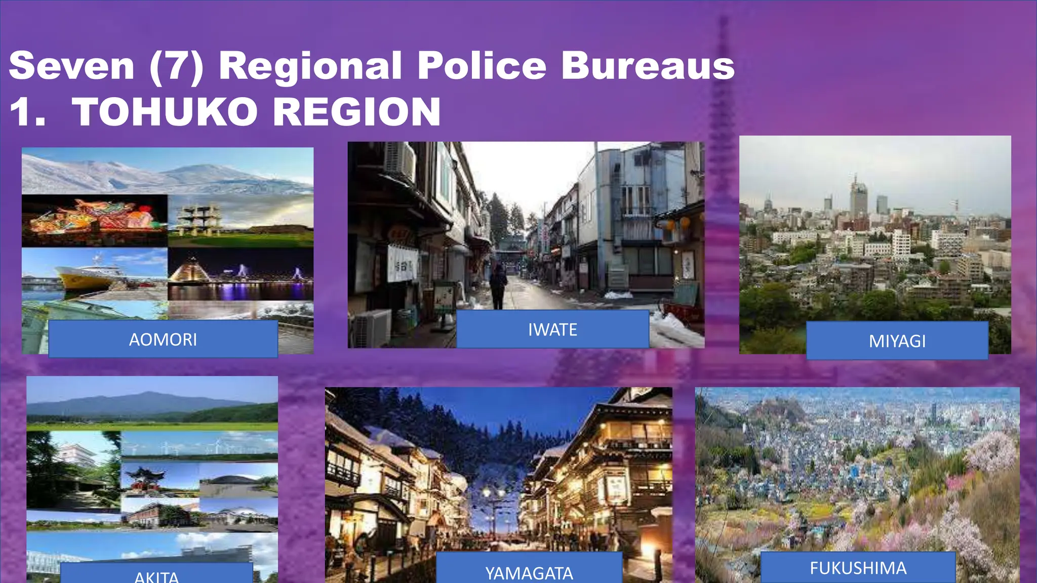 japan policing system pptx12345678910111 | PPTX