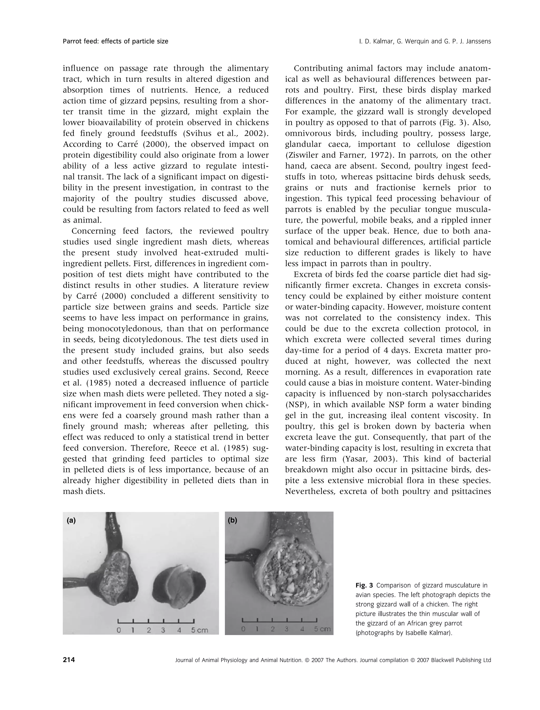 Parrot Food Particle Size | PDF