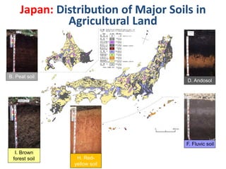 Japan | PDF