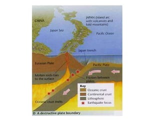 Japan case study | PPT