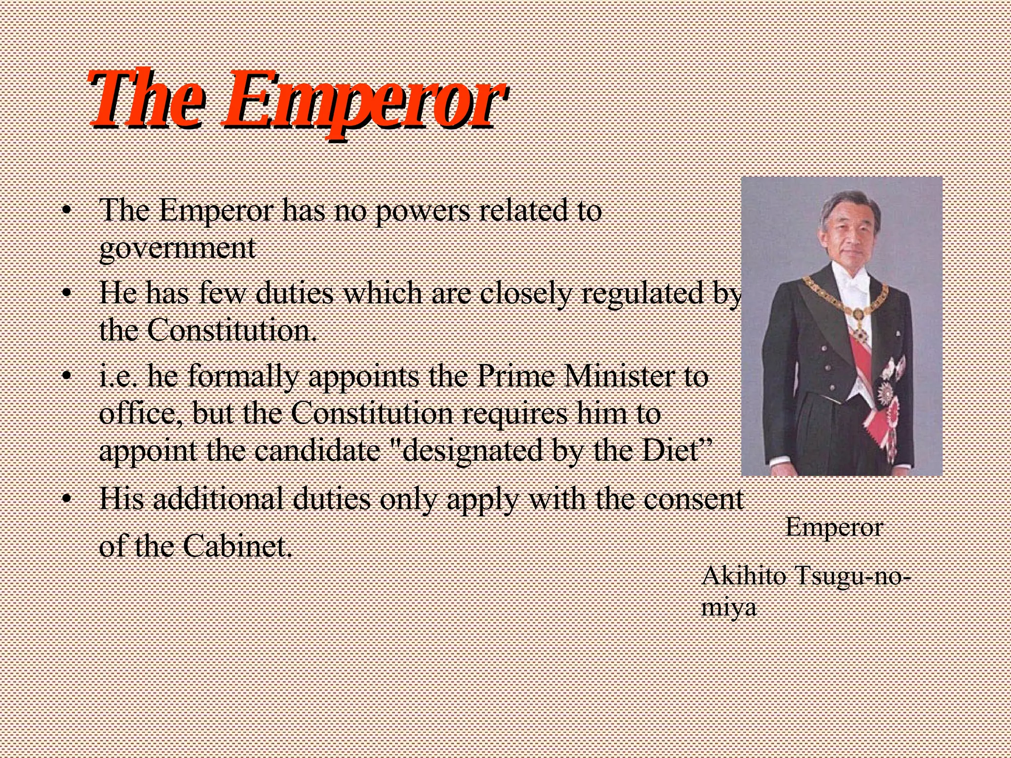Japanese Government | PPT