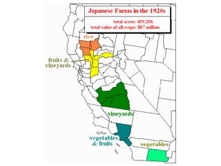 Japanese Internment | PPT