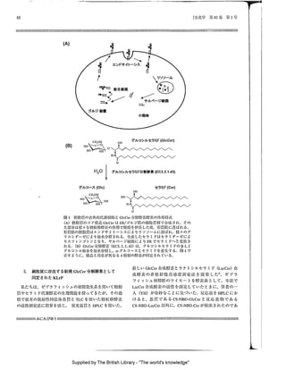 Japanese article | PDF