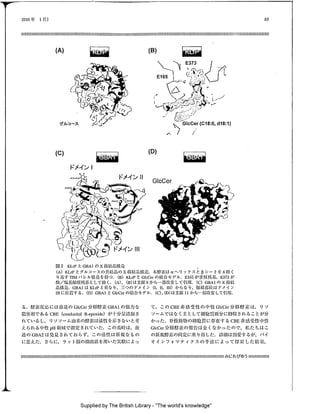 Japanese article | PDF