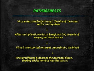 Japanese encephalitis | PPT