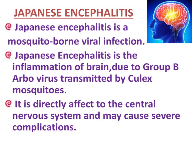 Japanese Encephalitis | PPT | Free Download