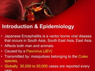 Japanese encephalitis | PPTX