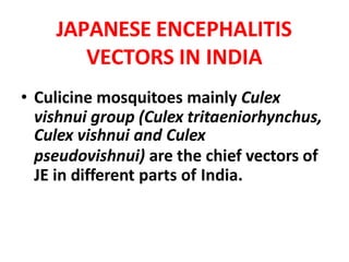 Japanese encephalitis | PPTX