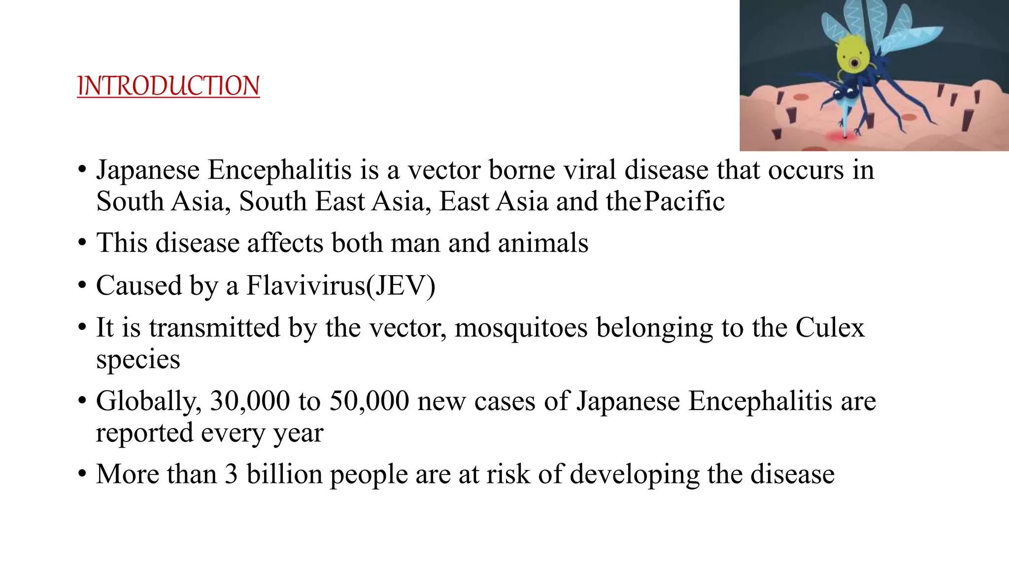 Japanese Encephalitis | PPTX
