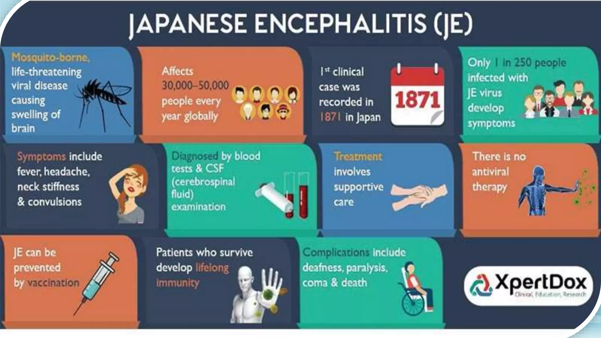 Japanese Encephalitis.pptx