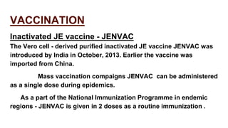 JAPANESE ENCEPHALITIS Community Health Nursing | PPTX