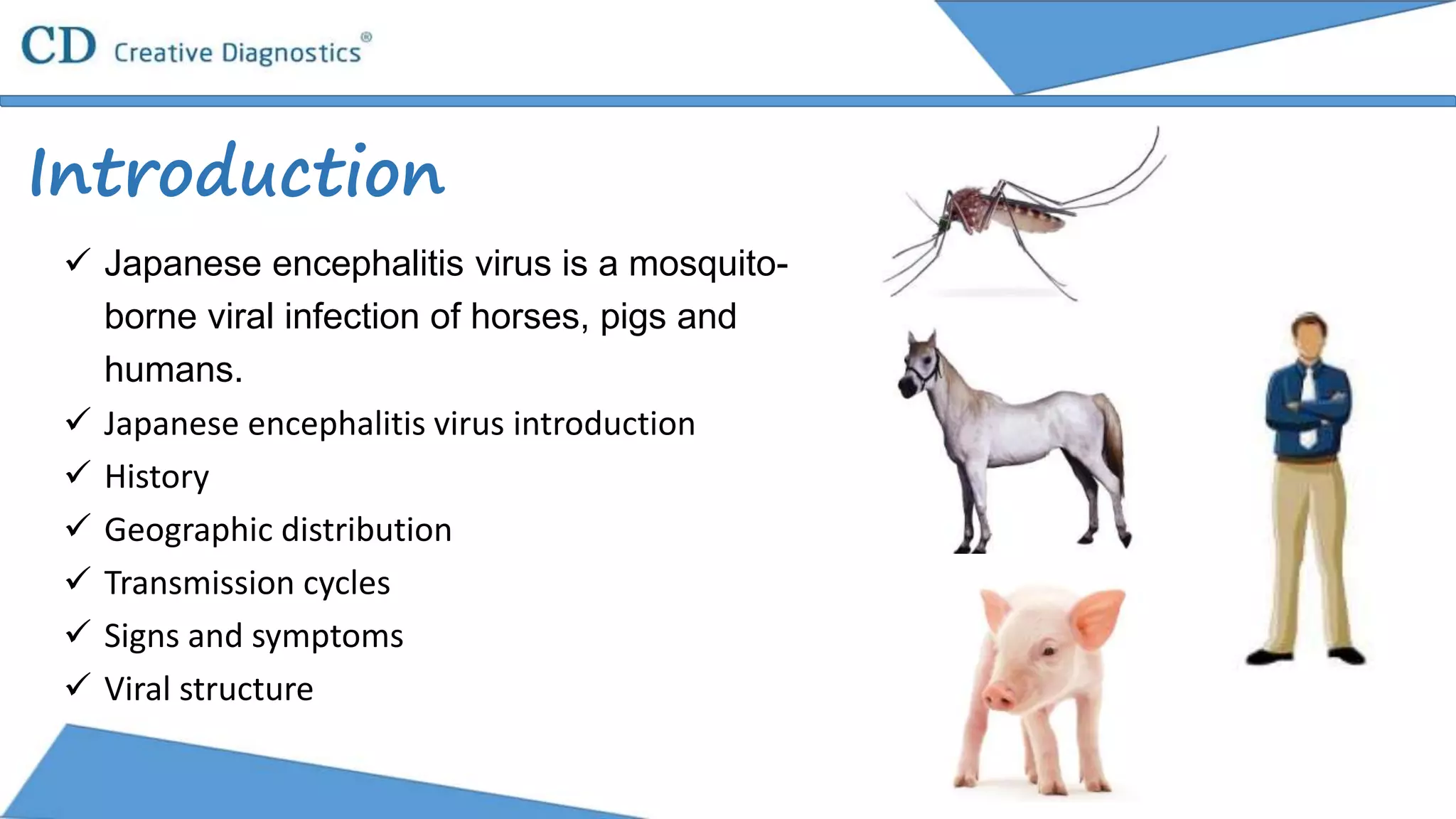 Japanese encephalitis virus | PPTX