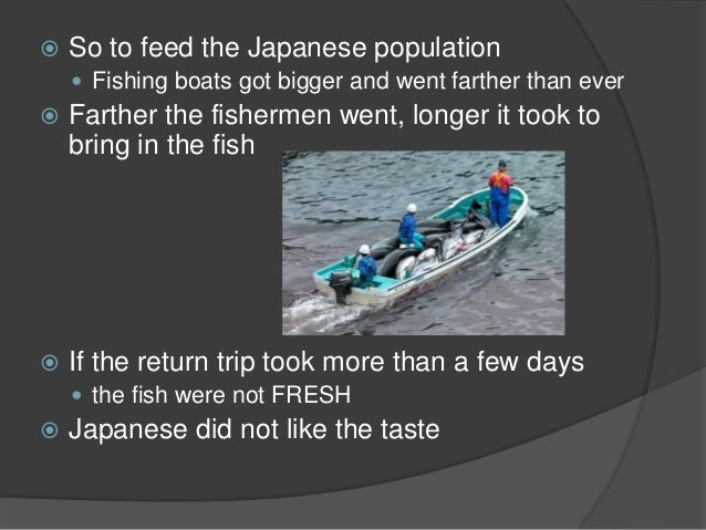 Japanese fishing story