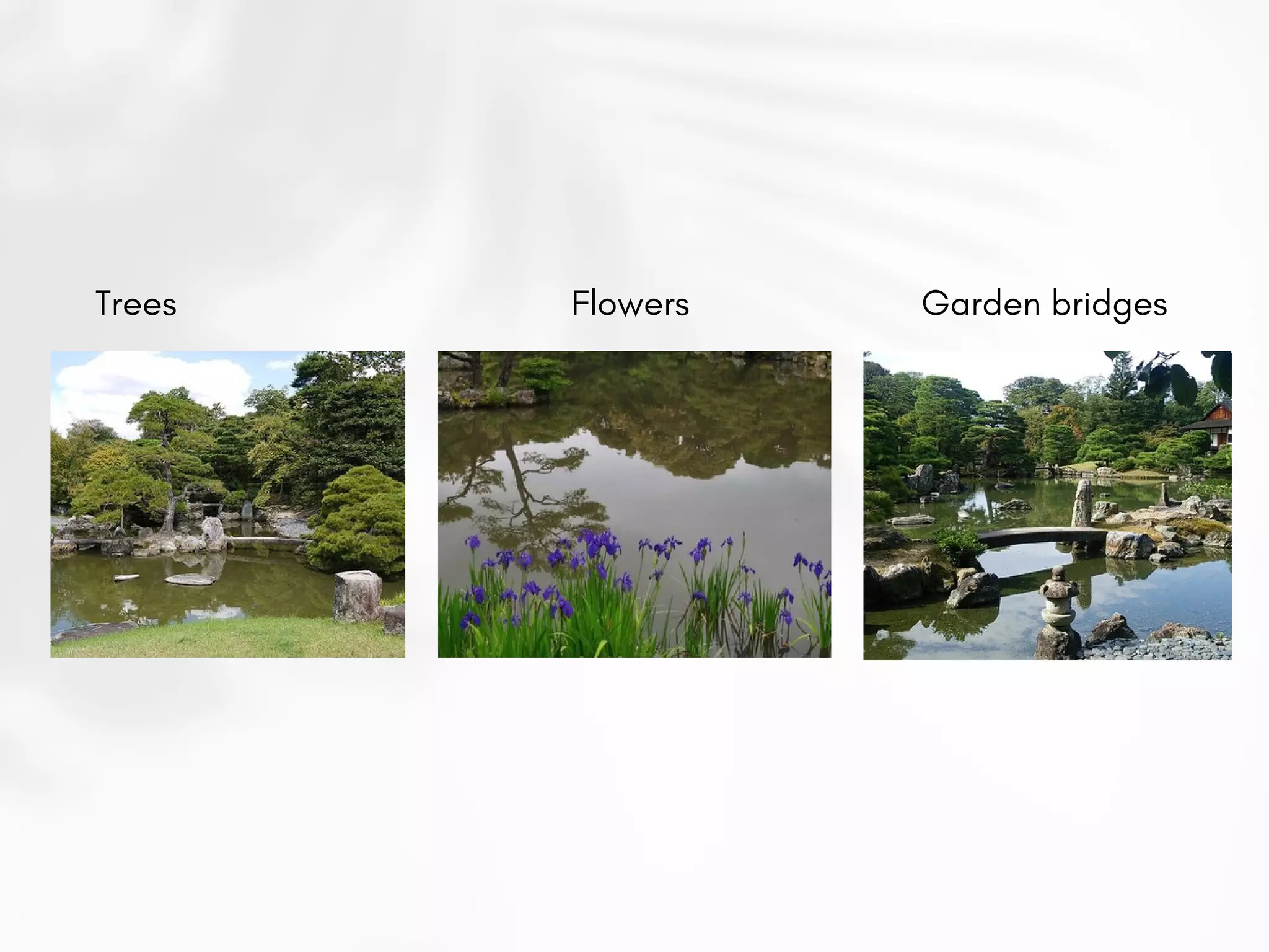 japanese garden. landscape .pdf