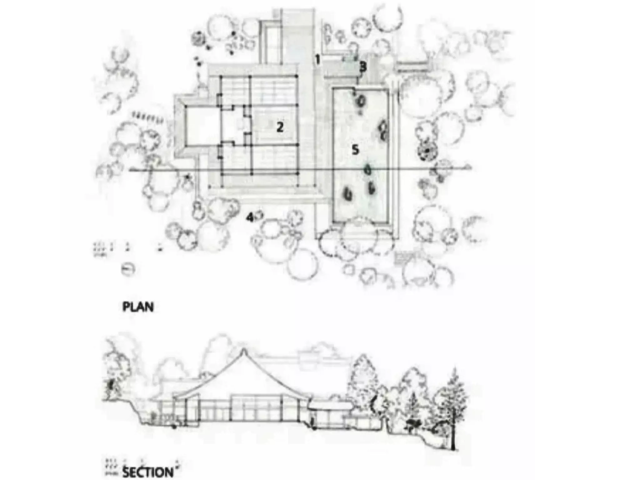 japanese garden. landscape .pdf