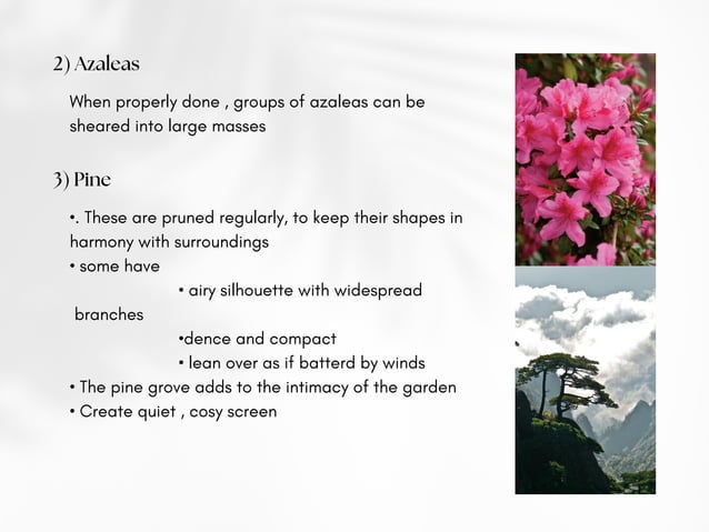 japanese garden. landscape .pdf