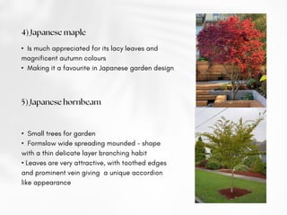 japanese garden. landscape .pdf