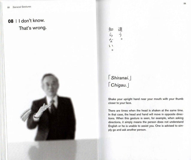 Japanese gestures (1) | PDF