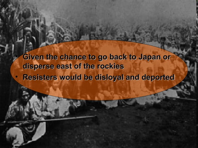 Japanese Immigration Presentation | PPT