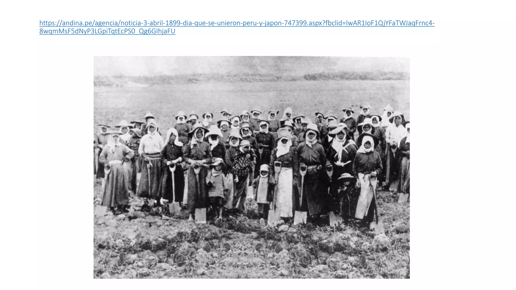 Japanese immigration to peru | PPTX