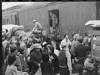 Japanese Internment Power Point | PPTX