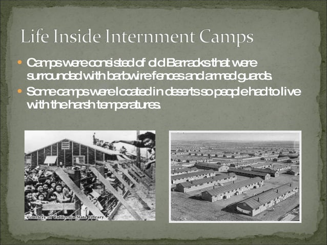Japanese Internment Power Point 2 | PPT