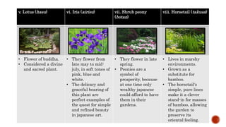 Japanese landscape | PPTX