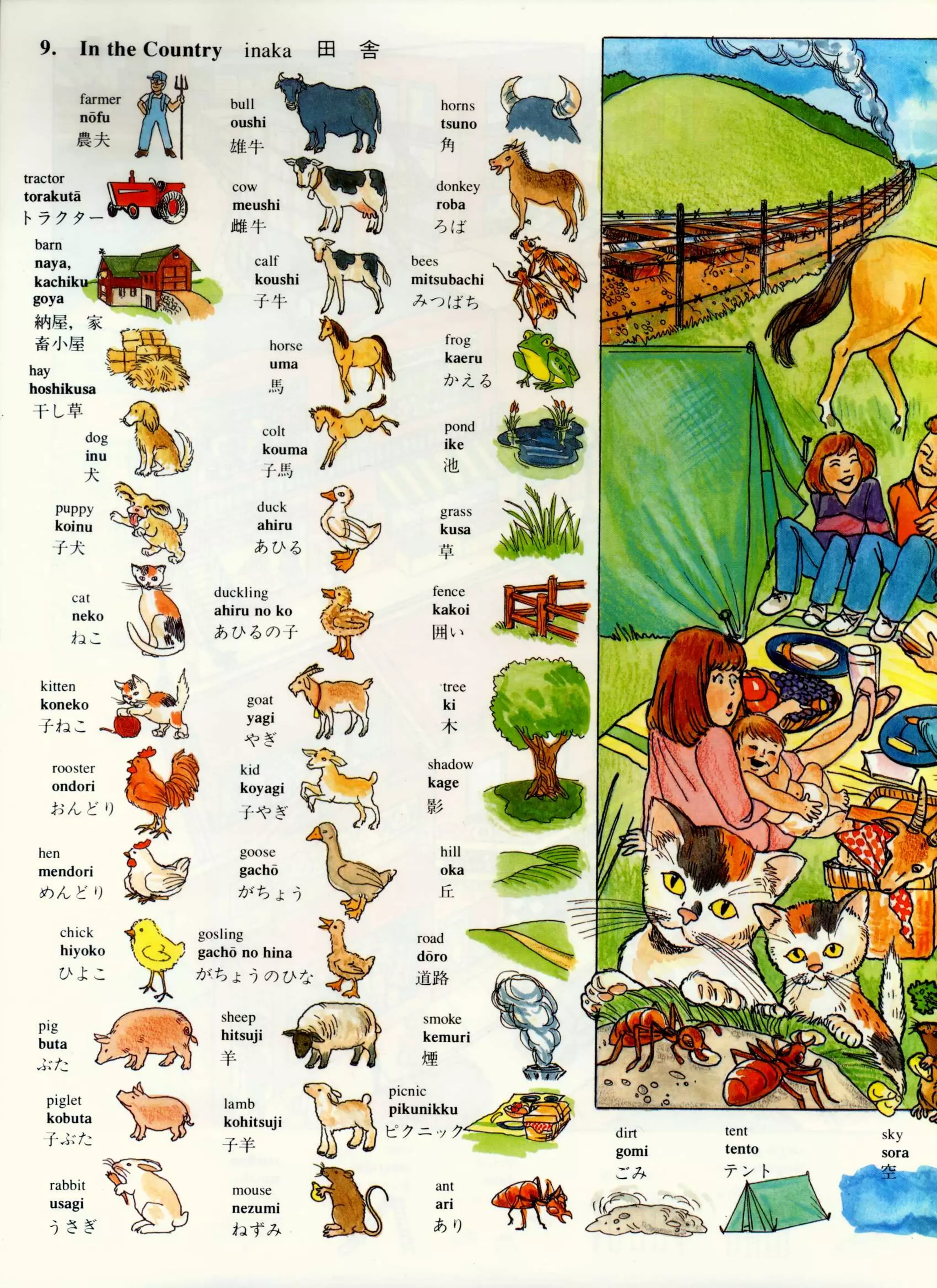 Japanese picture dictionary | PDF