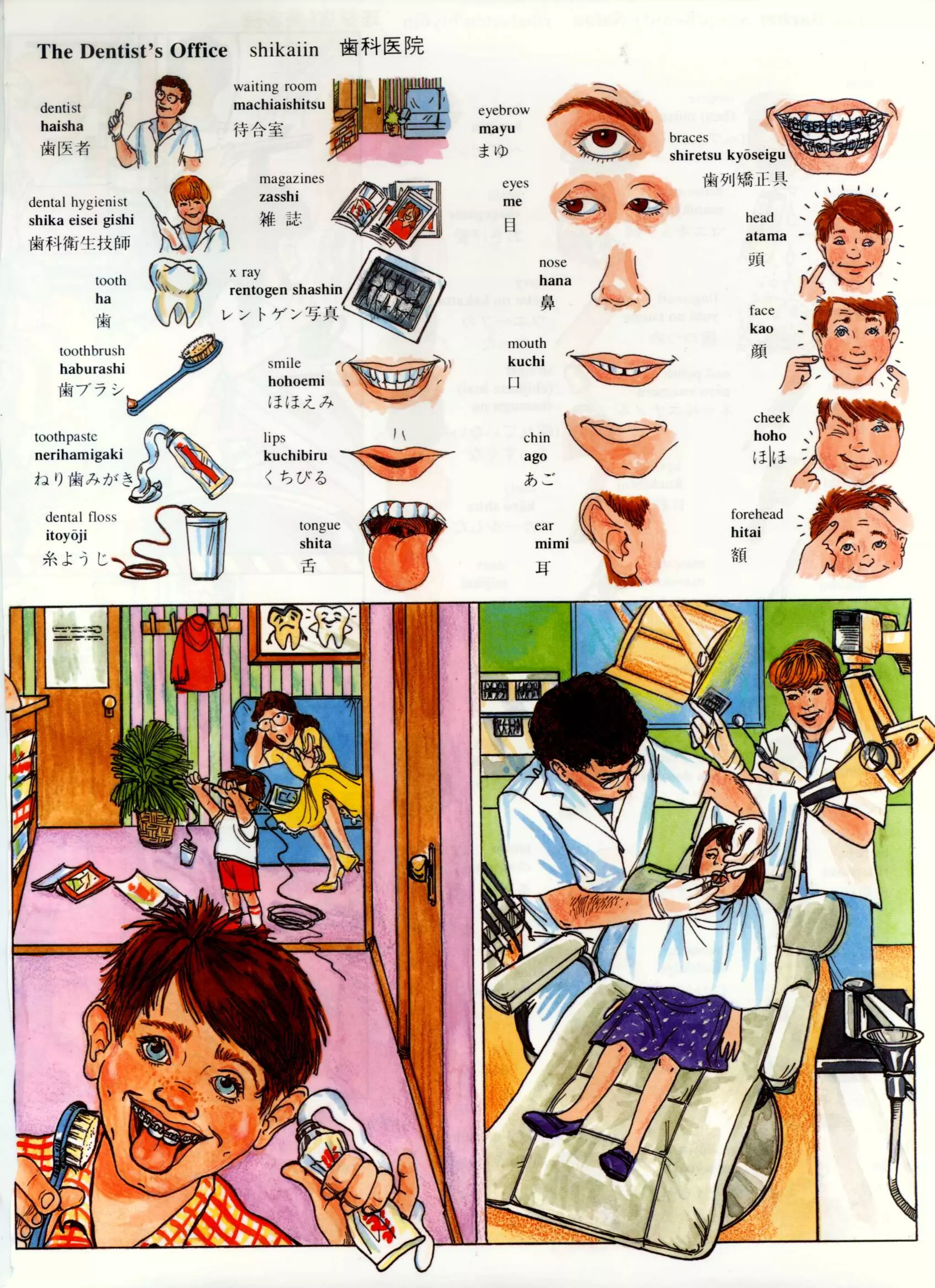 Japanese picture dictionary | PDF