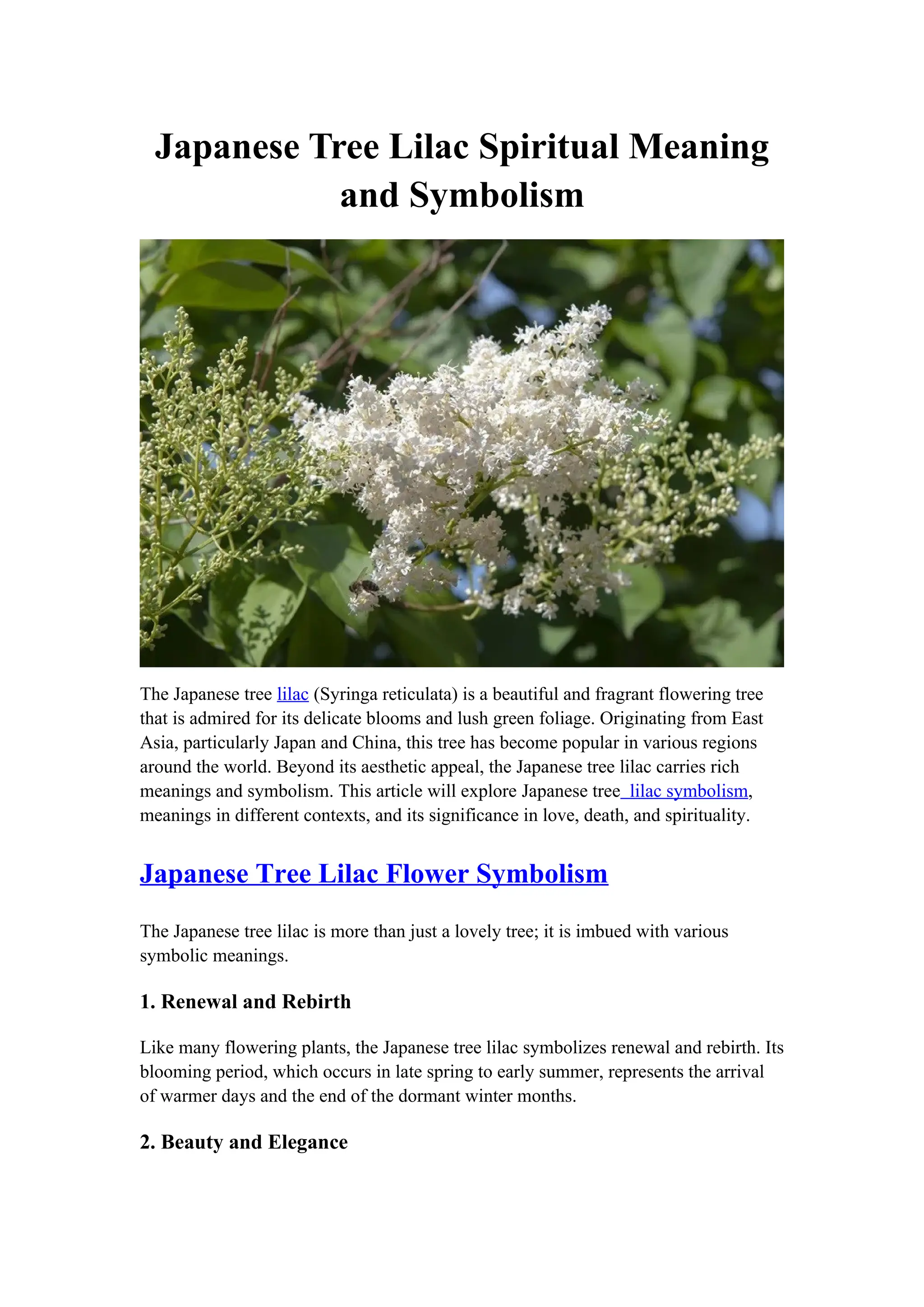 Japanese Tree Lilac Spiritual Meaning and Symbolism.docx